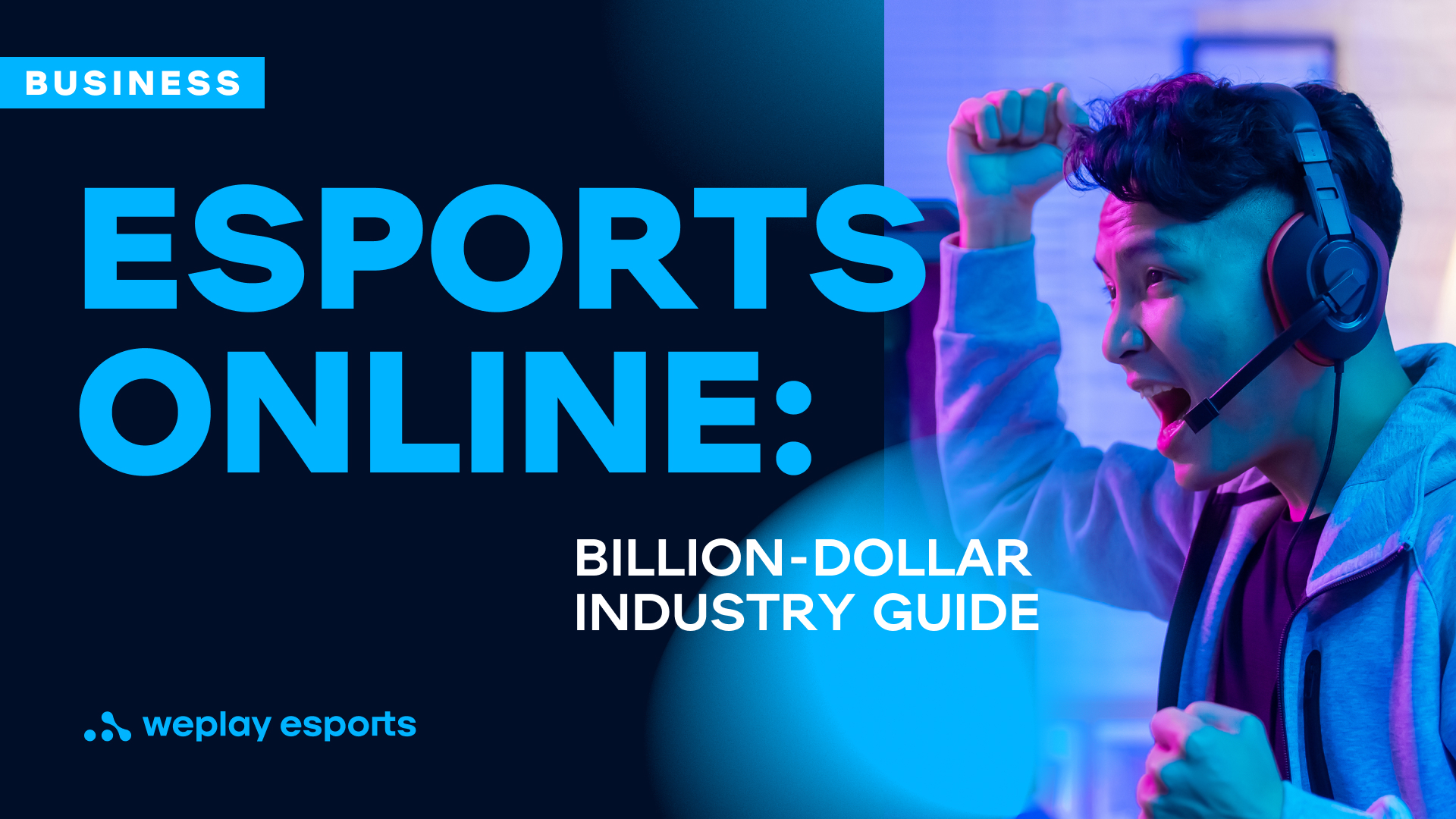 Esports online: Billion-dollar industry guide | WePlay Esports Media ...